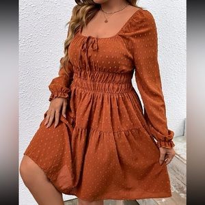 Dresses | Plus Size Rust Brown Swiss Dot Tie Front Dress | Poshmark
